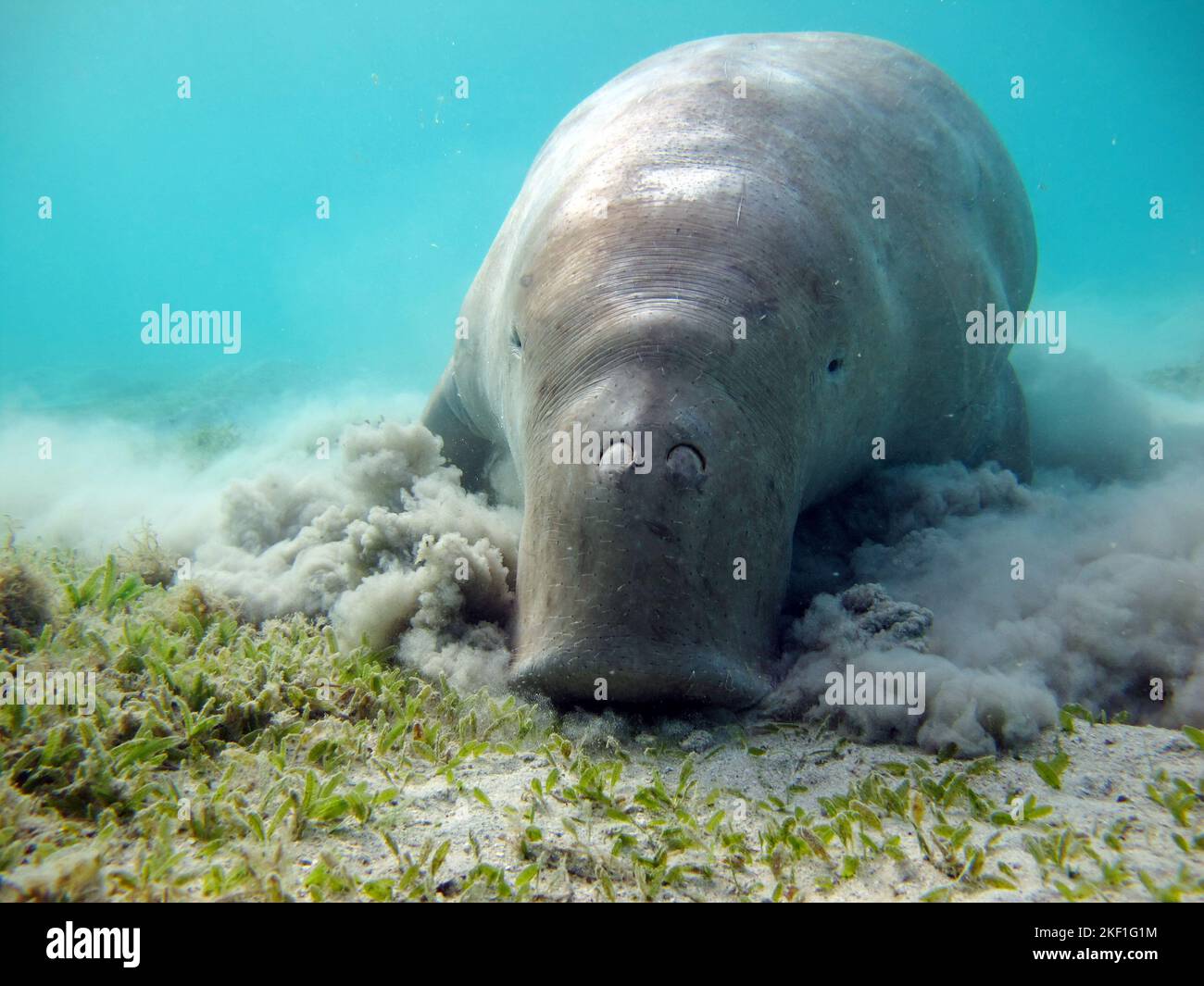 From the bay of mars mubarak hi-res stock photography and images - Alamy