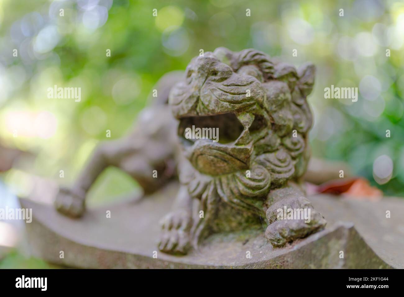 Botanical Garden Monte, Funchal, Madeira island, Portugal Stock Photo ...