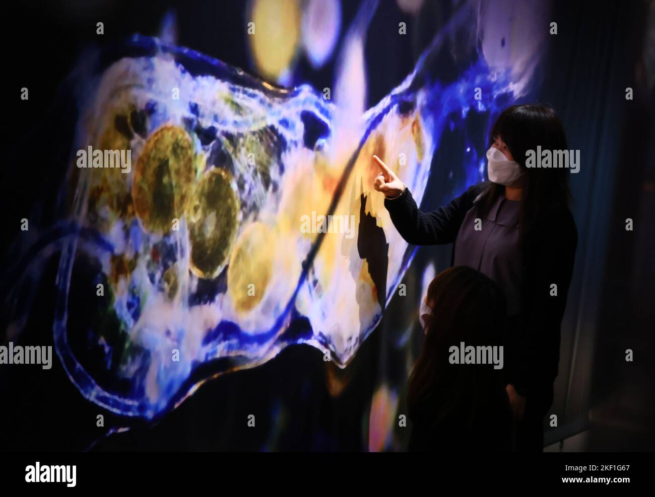 HHLANKTON AND MICROPLASTICSHHby Richard Kirby, show on "The Invisible ...