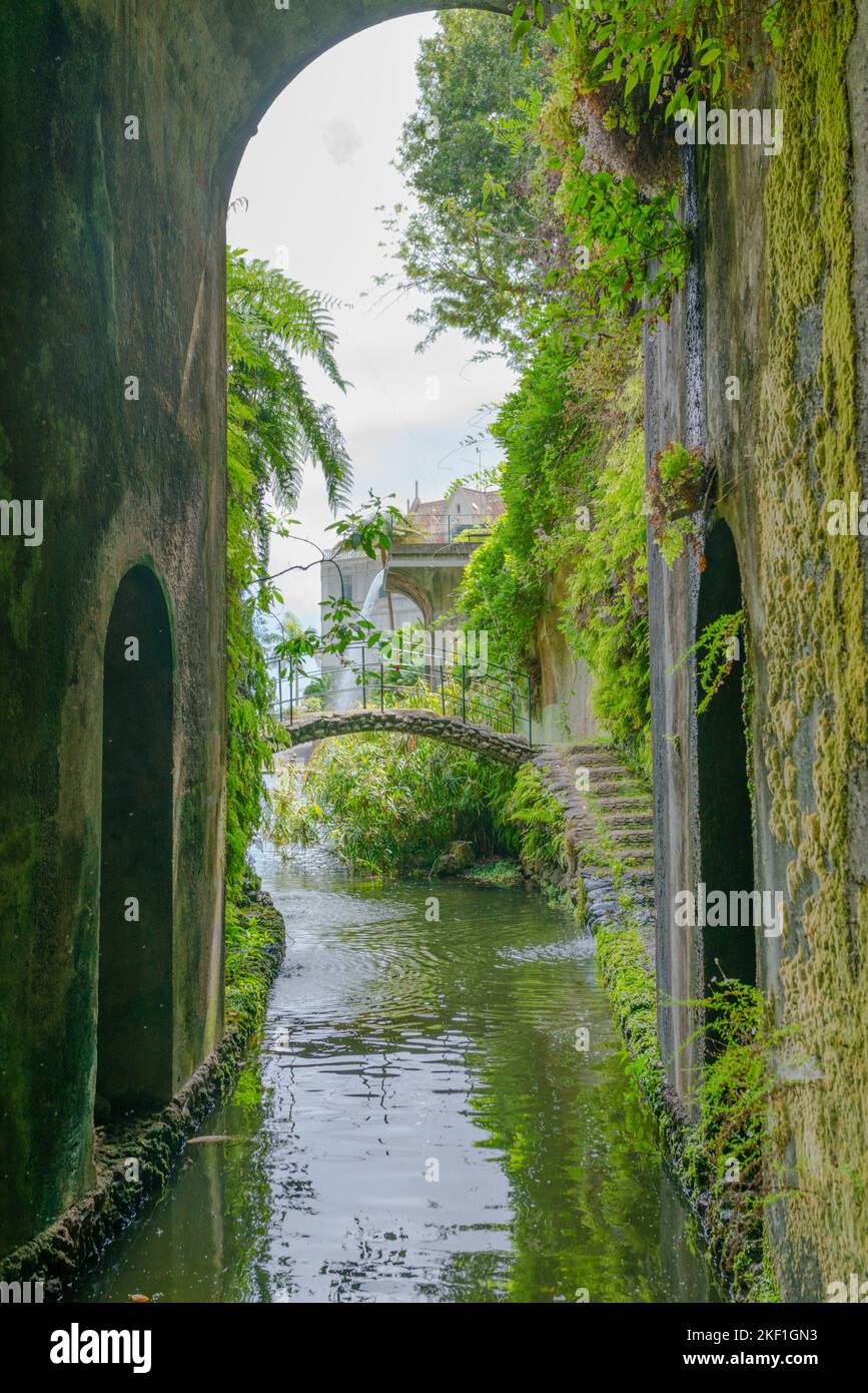 Botanical Garden Monte, Funchal, Madeira island, Portugal Stock Photo ...