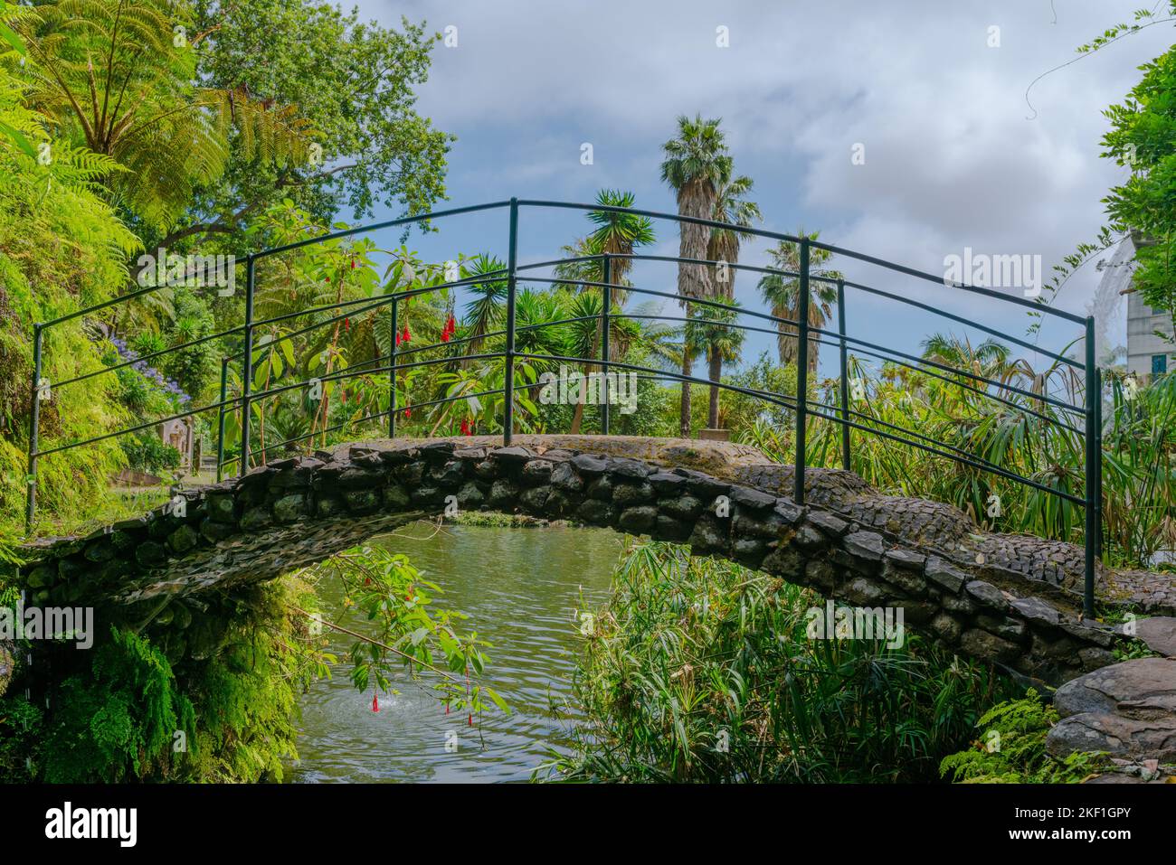 Botanical Garden Monte, Funchal, Madeira island, Portugal Stock Photo ...