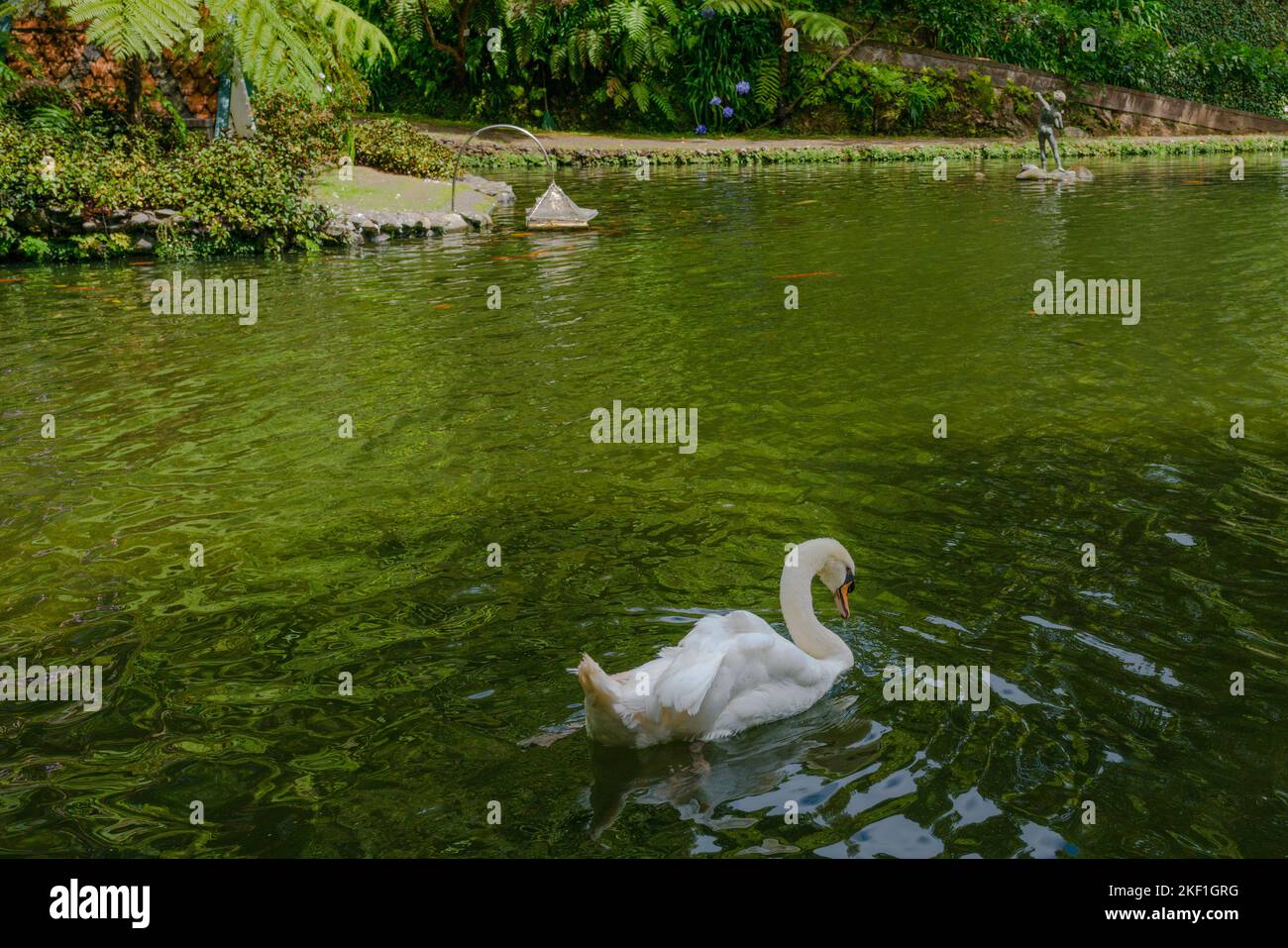 Botanical Garden Monte, Funchal, Madeira island, Portugal Stock Photo ...