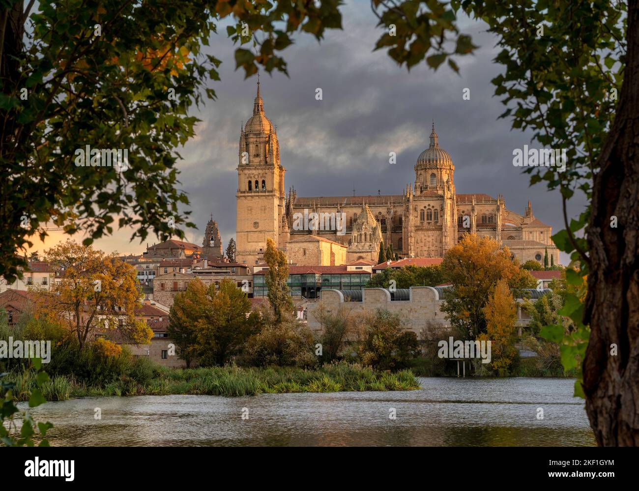 New Cathedral of Salamanca from the bank of the riber Tormes. Castile ...