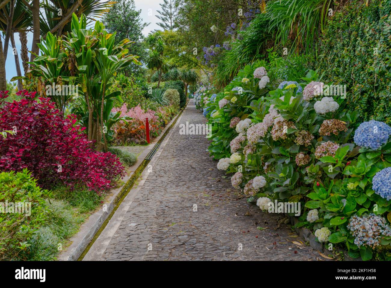 Botanical Garden Monte, Funchal, Madeira island, Portugal Stock Photo ...