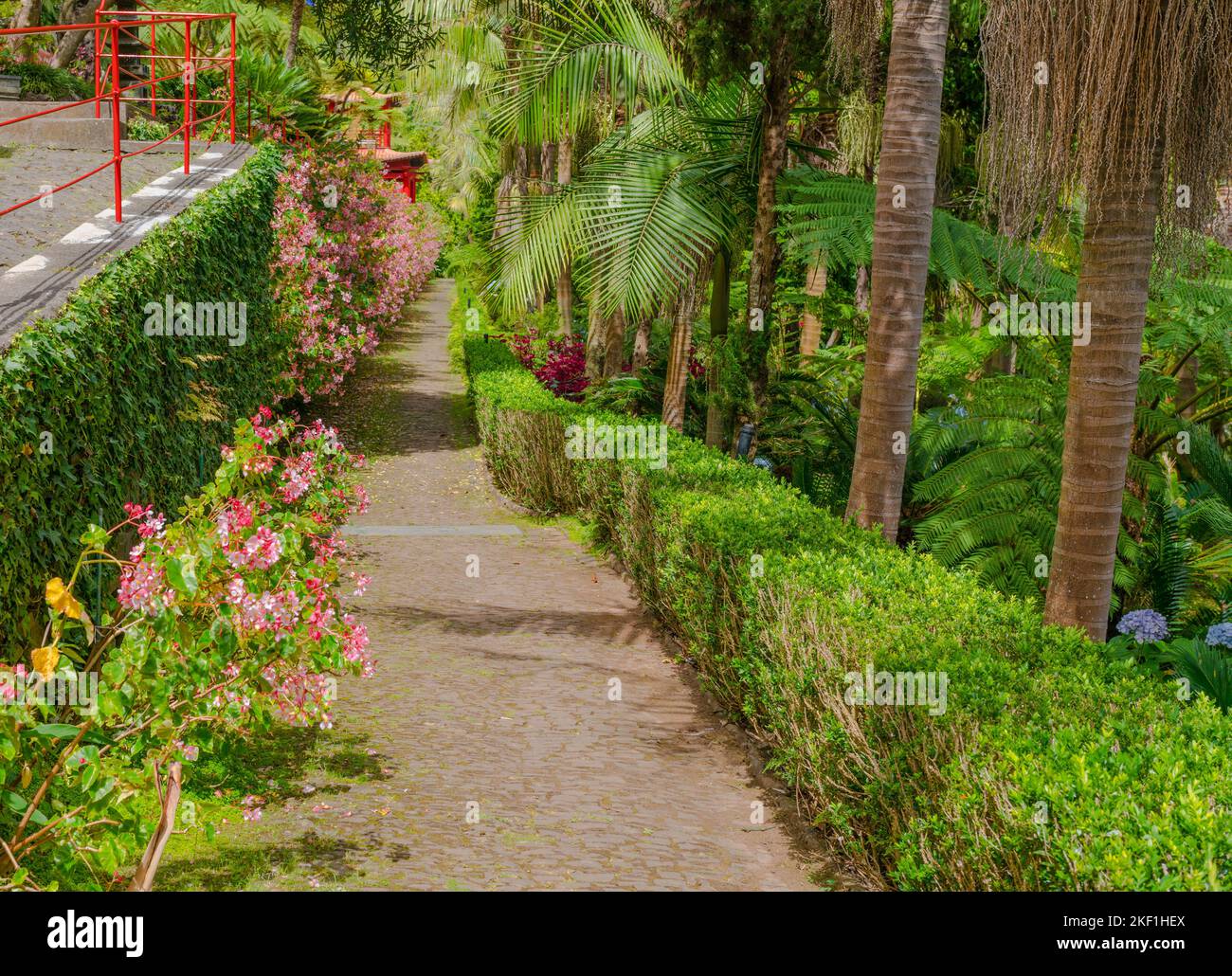 Botanical Garden Monte, Funchal, Madeira island, Portugal Stock Photo ...