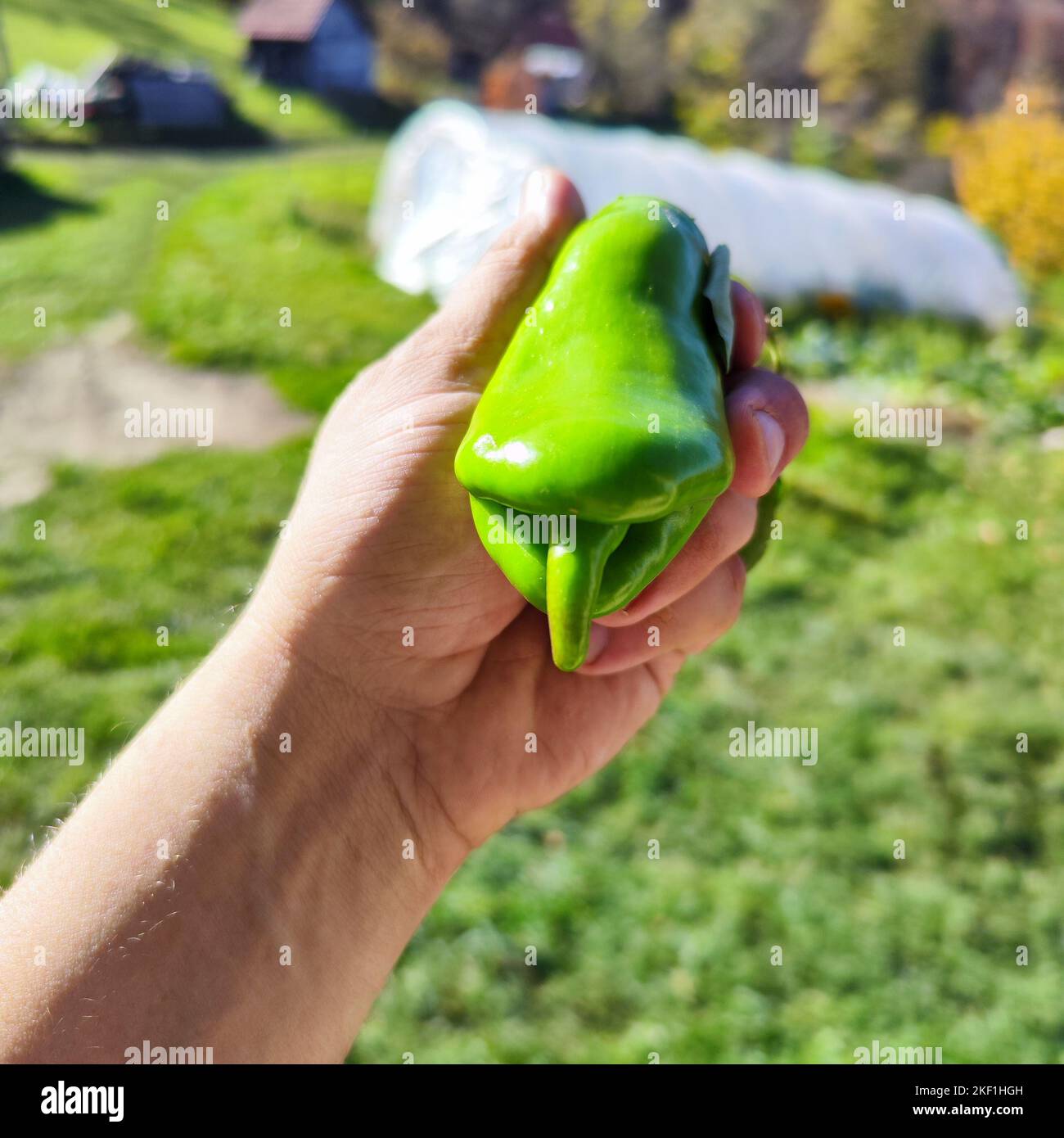 A selective focus of a hand holding a green paper with a shape of a ...