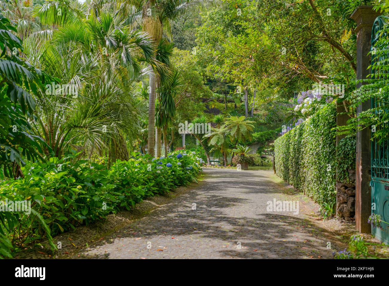 Botanical Garden Monte, Funchal, Madeira island, Portugal Stock Photo ...
