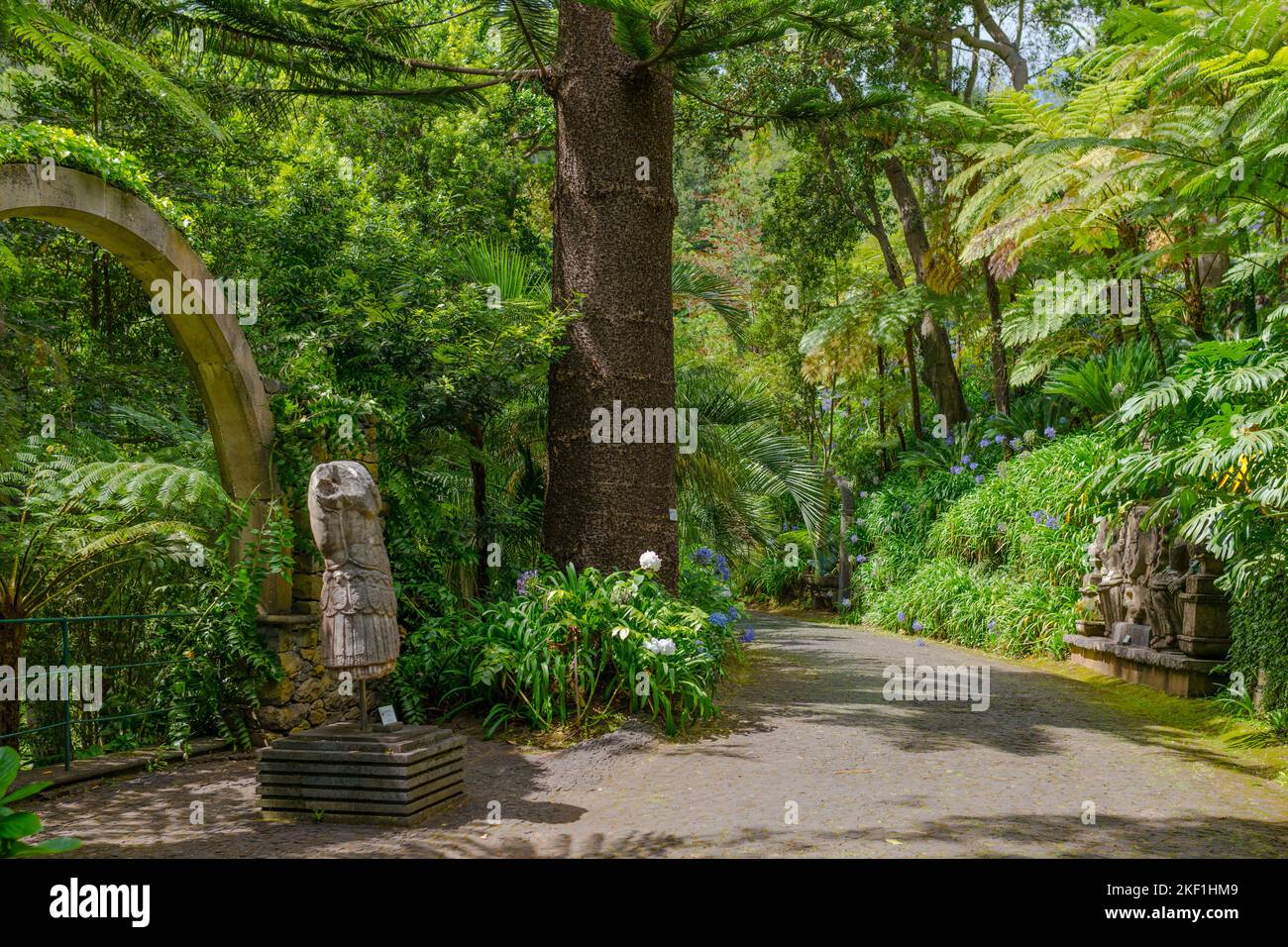 Botanical Garden Monte, Funchal, Madeira island, Portugal Stock Photo ...