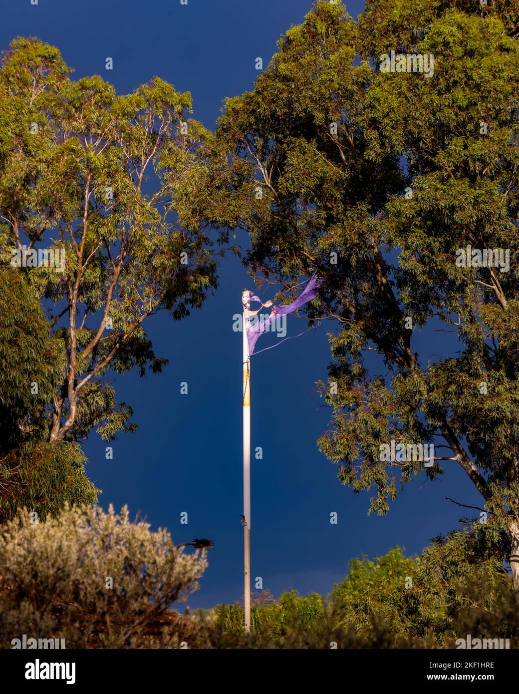 a vertical low angle shot of a ripped flag on a pole seen from between ...