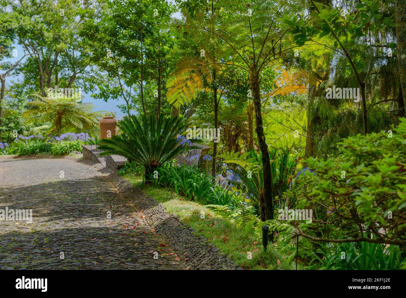 Botanical Garden Monte, Funchal, Madeira island, Portugal Stock Photo ...