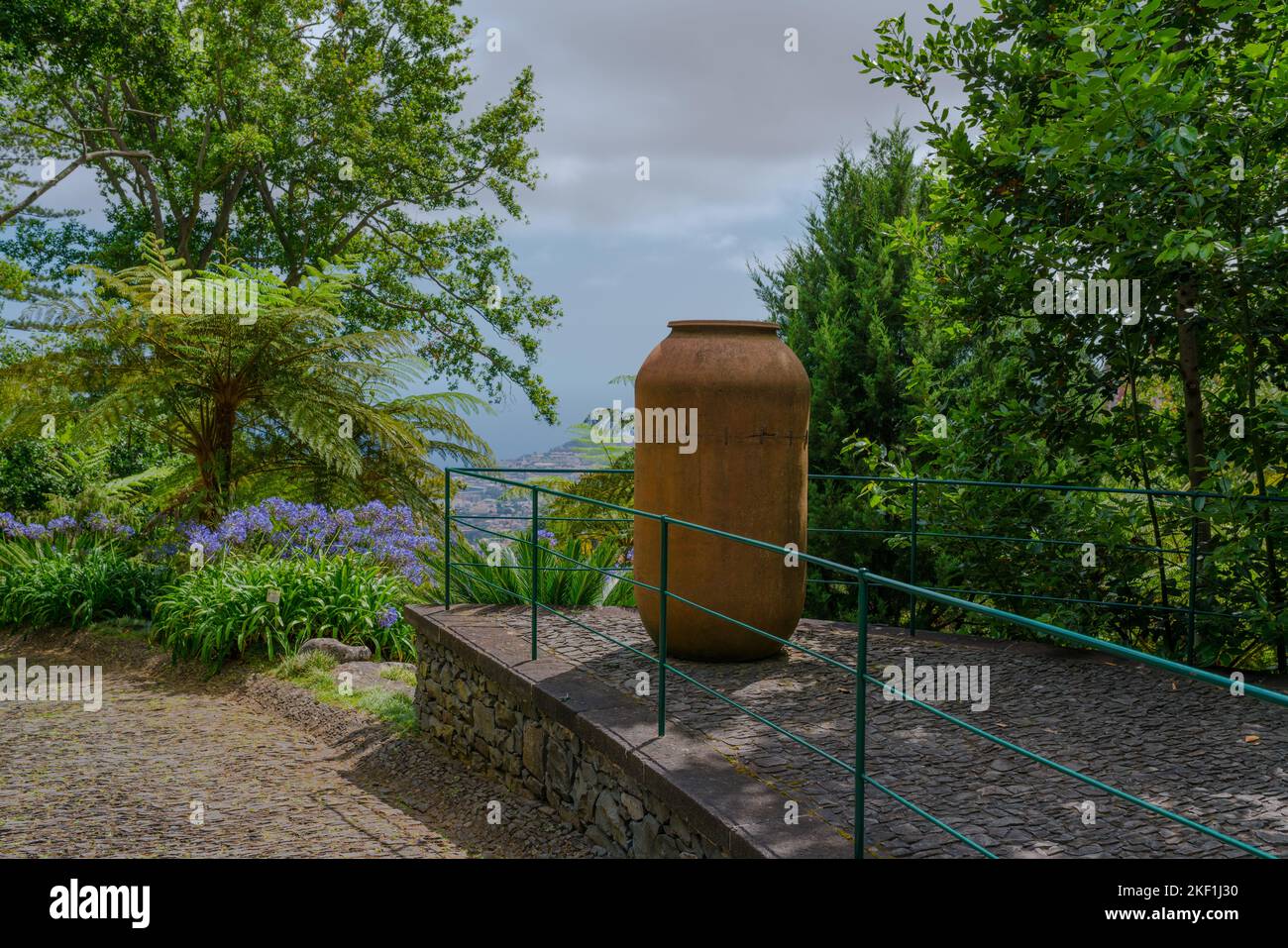 Botanical Garden Monte, Funchal, Madeira island, Portugal Stock Photo ...