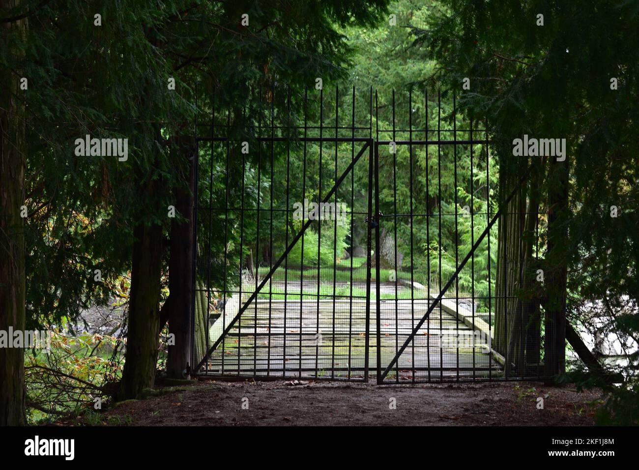 A low-angle closeup of metallic gates of a park with trees around and ...