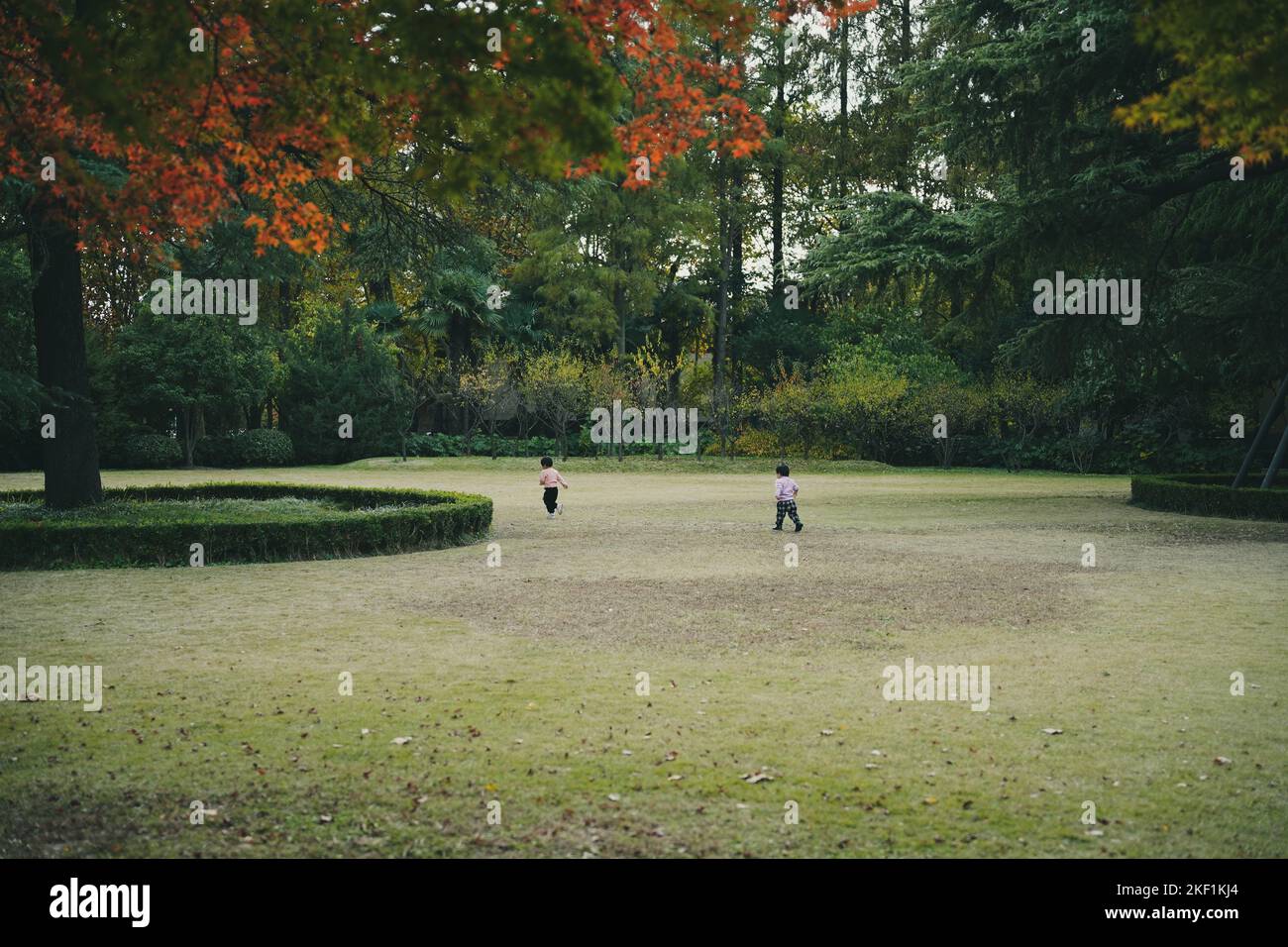 Children playing under tree in park hi-res stock photography and images ...