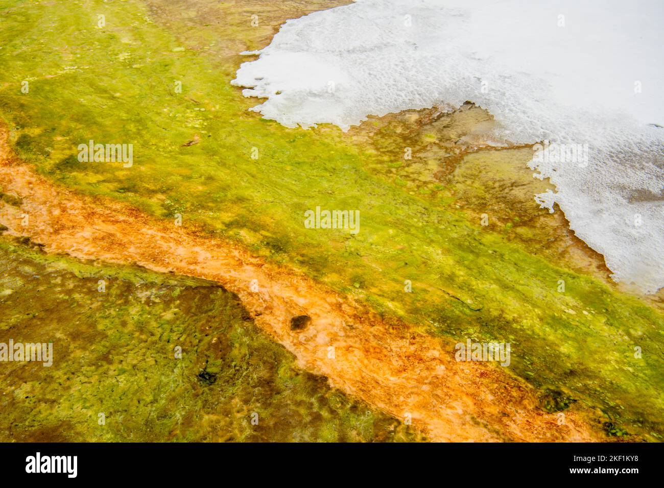 Bacterial mat patterns in Grand Prismatic Spring (winter), Yellowstone ...