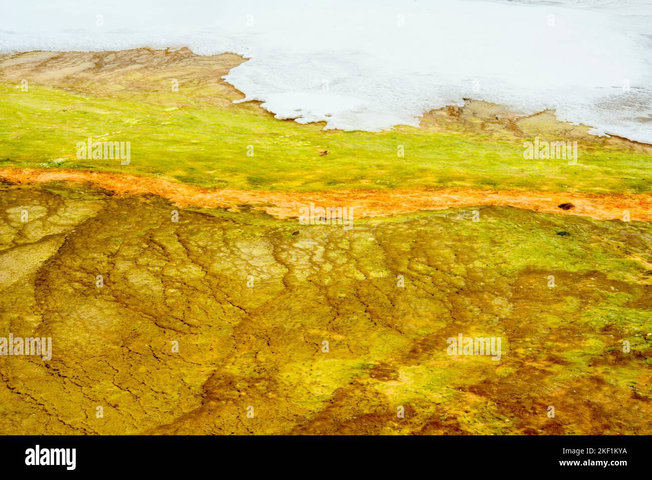Bacterial mat patterns in Grand Prismatic Spring (winter), Yellowstone ...