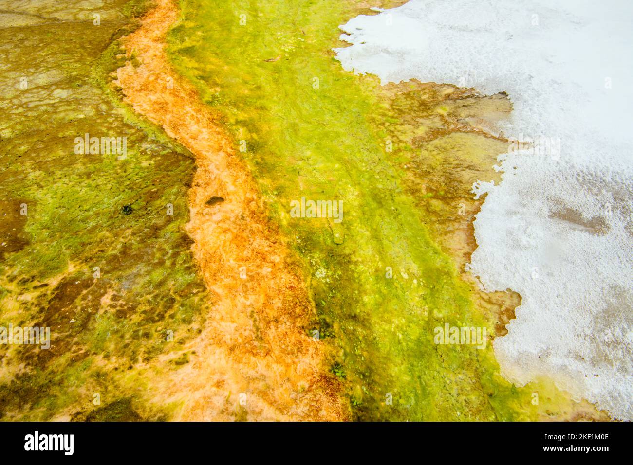 Bacterial mat patterns in Grand Prismatic Spring (winter), Yellowstone ...