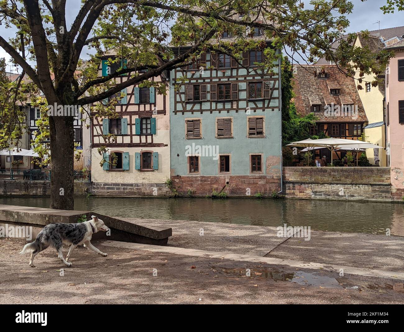 An aerial view of cityscape Strasbourg surrounded by buildings and ...