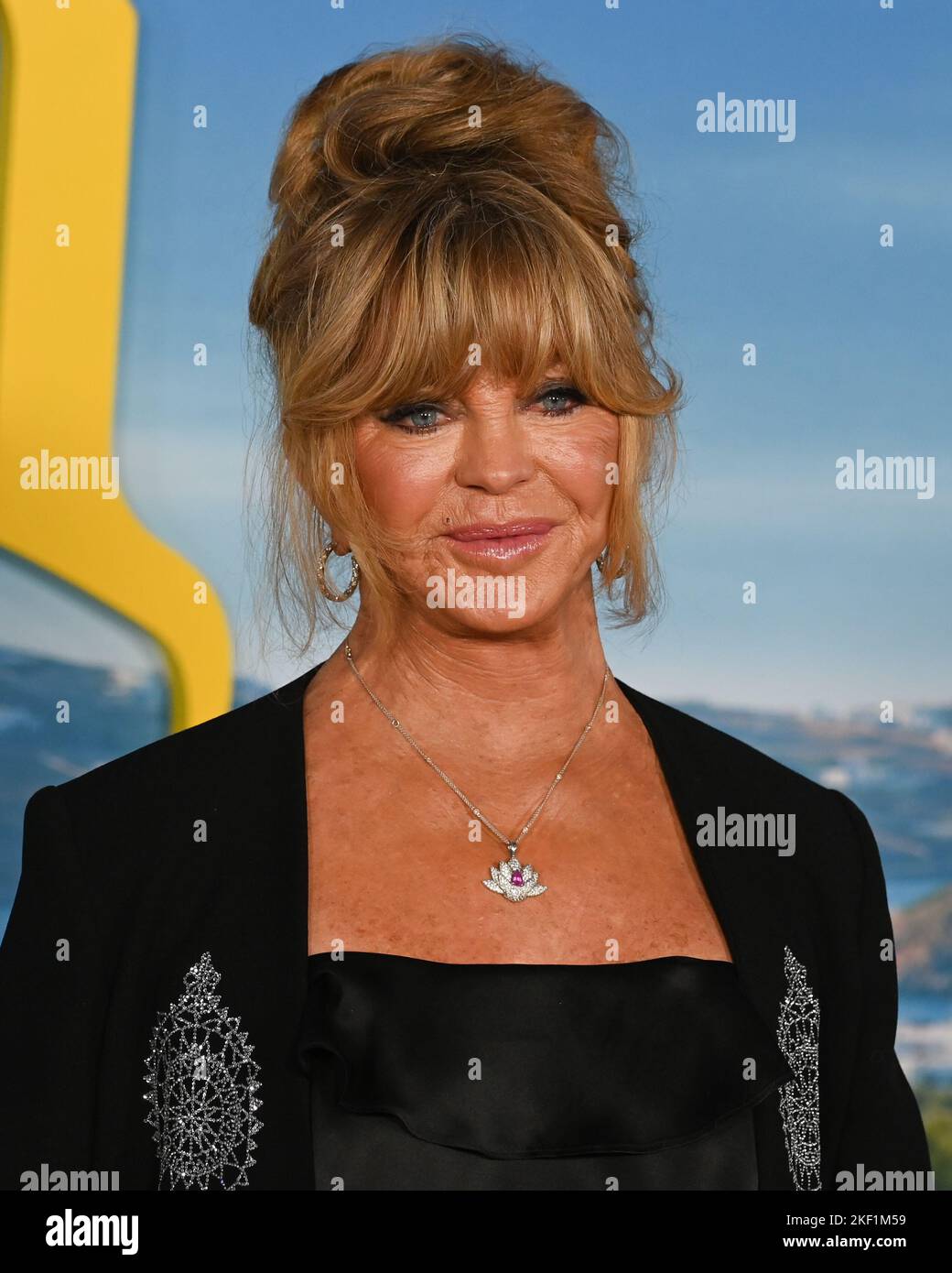 14 November 2022 - Los Angeles, California - Goldie Hawn. US Premiere ...