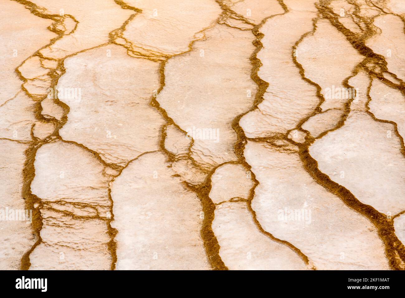 Bacterial mat patterns in Grand Prismatic Spring (winter), Yellowstone ...