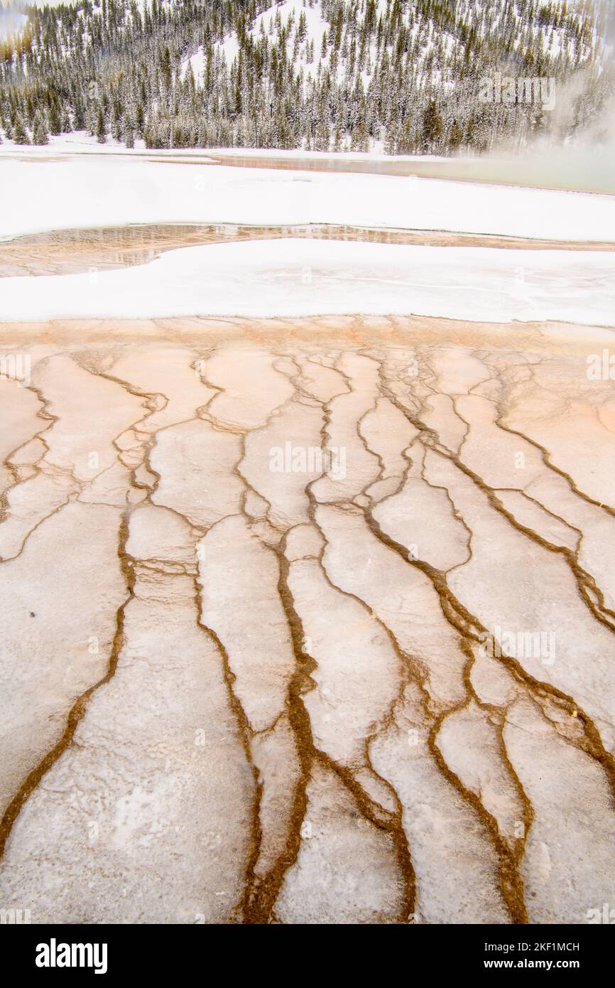 Bacterial mat patterns in Grand Prismatic Spring (winter), Yellowstone ...