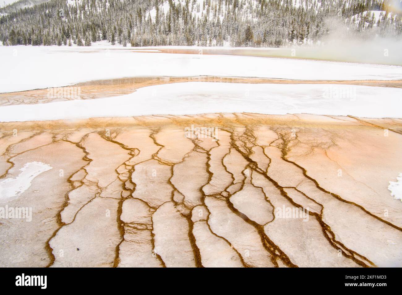 Bacterial mat patterns in Grand Prismatic Spring (winter), Yellowstone ...