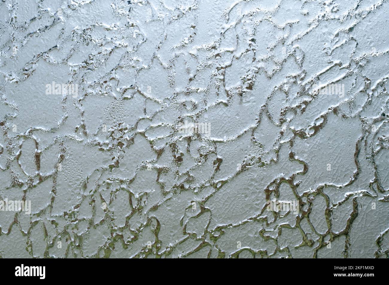 Tinted and patterned glass for windows and doors, patterned glass ...