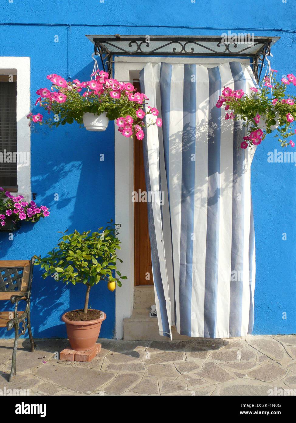 Little green lemon hanging hi-res stock photography and images - Alamy