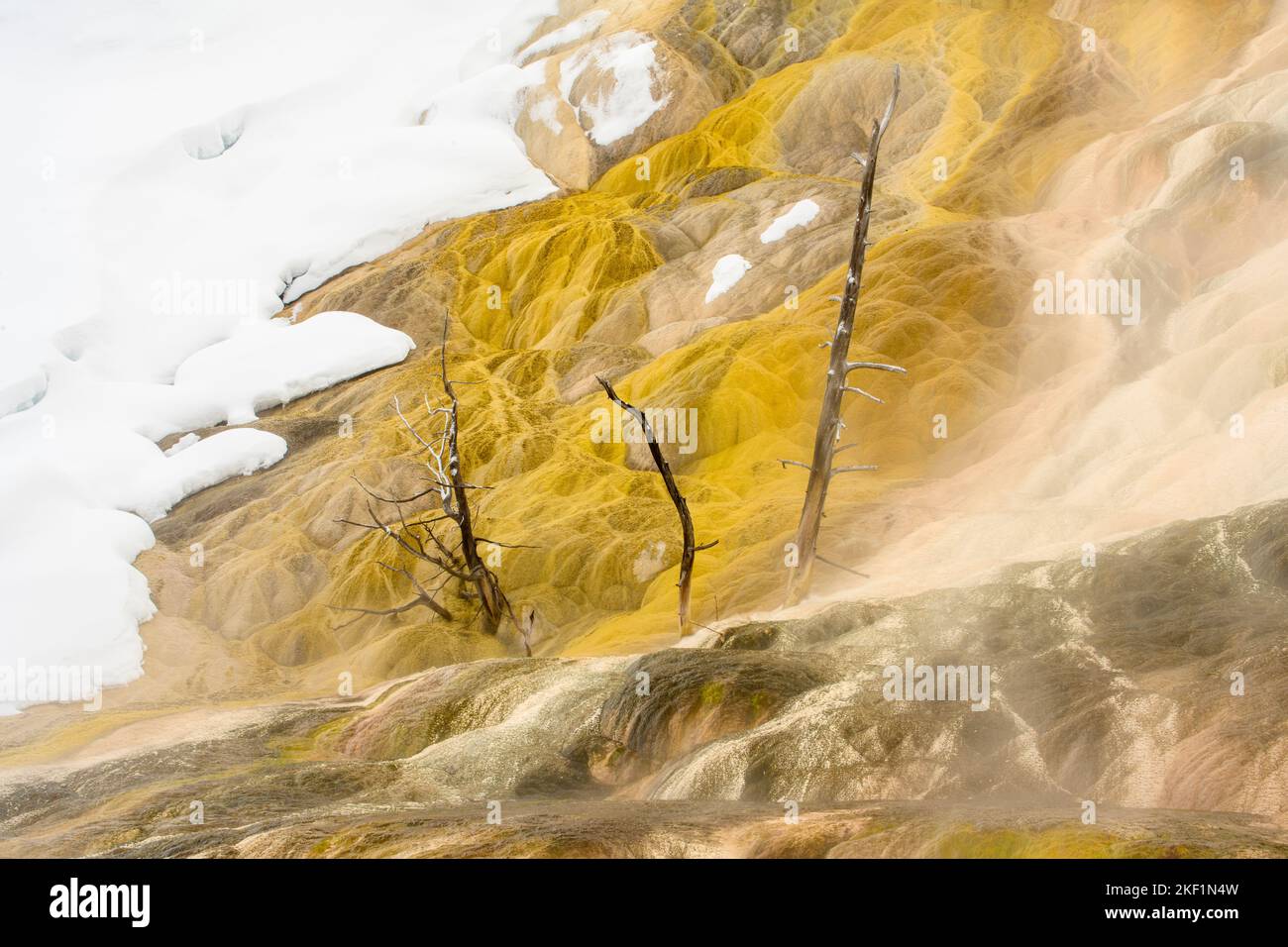 Palette Spring in winter, Yellowstone National Park- Mammoth Hot ...