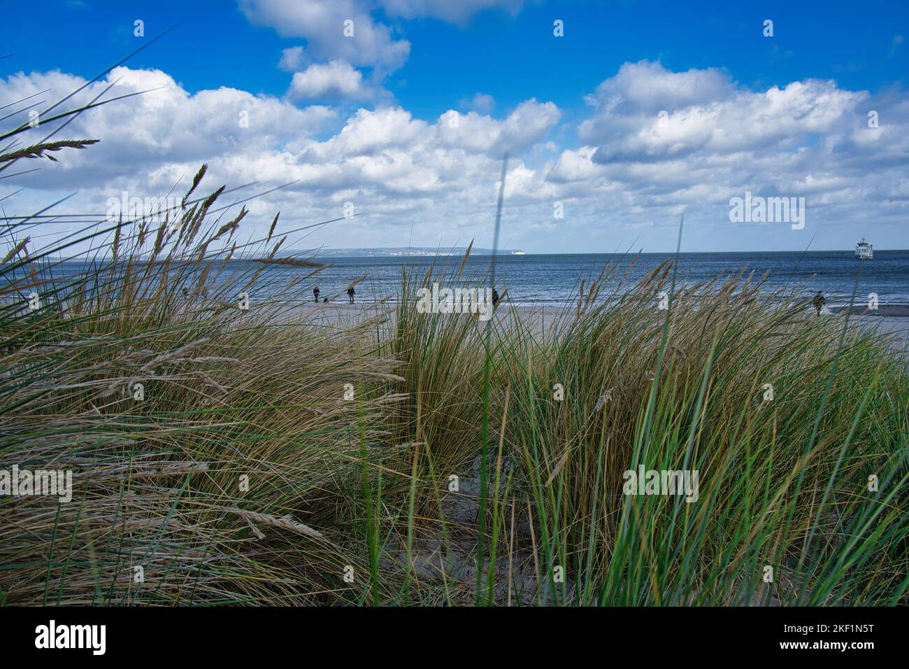 The mesmerizing Baltic sea behind the grass at the beach on Rugia ...
