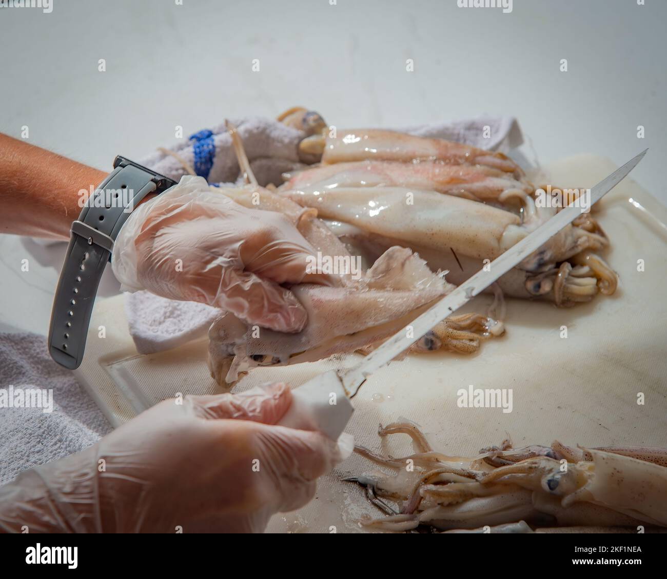 The hands with gloves of a person cutting the mitre squids, preparing ...