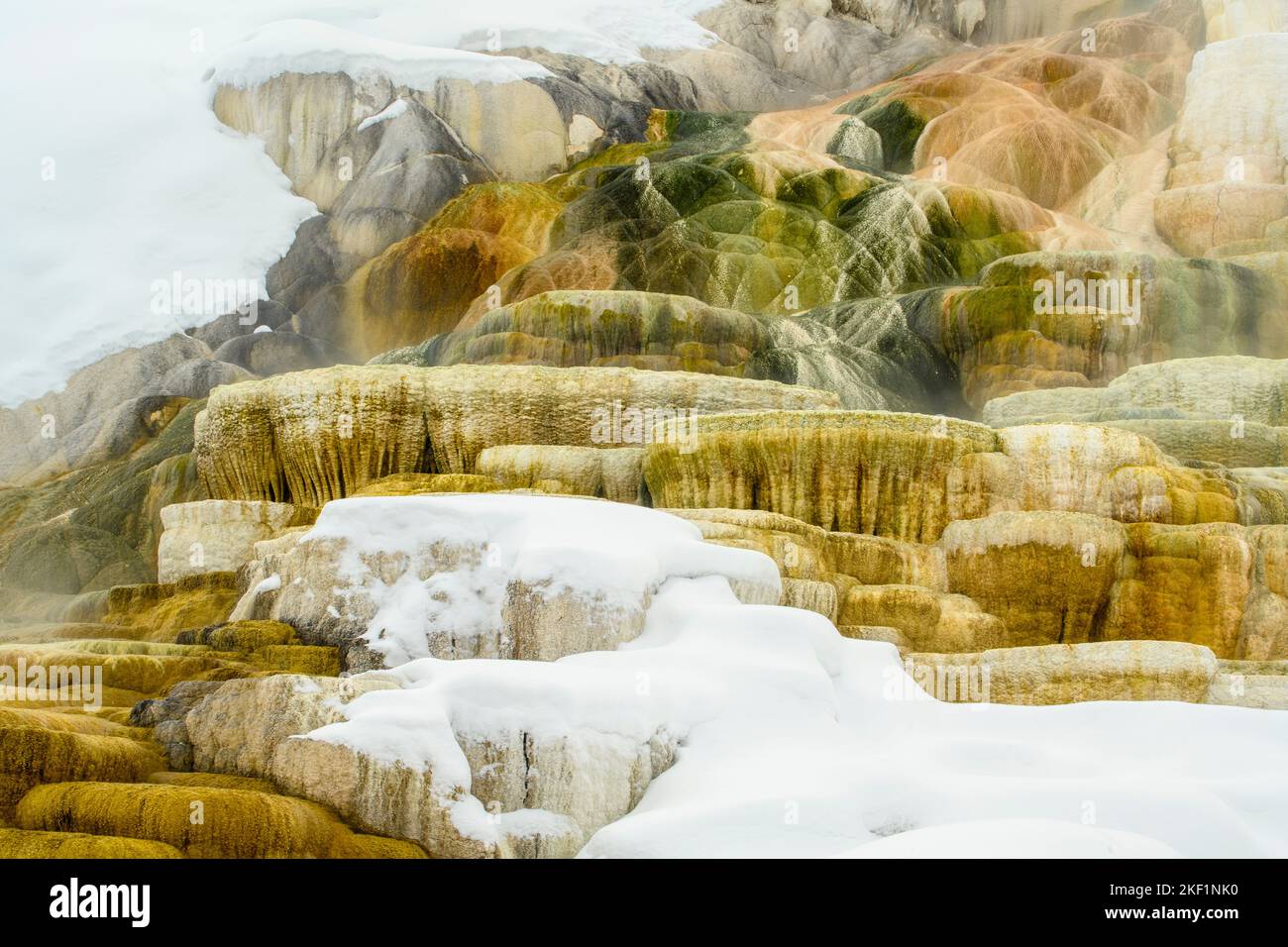 Palette Spring in winter, Yellowstone National Park- Mammoth Hot ...