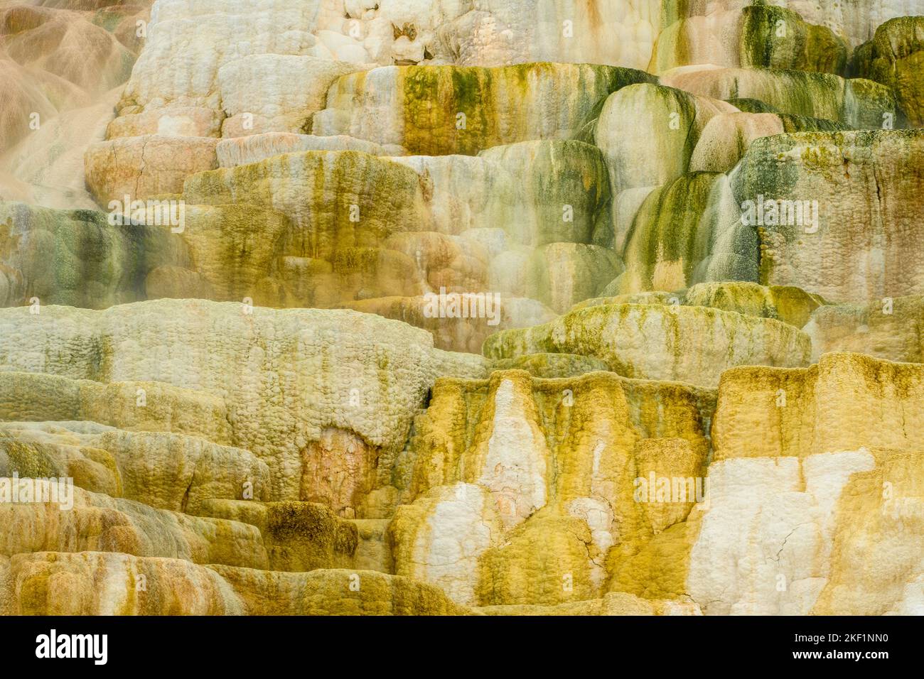 Palette Spring in winter, Yellowstone National Park- Mammoth Hot ...