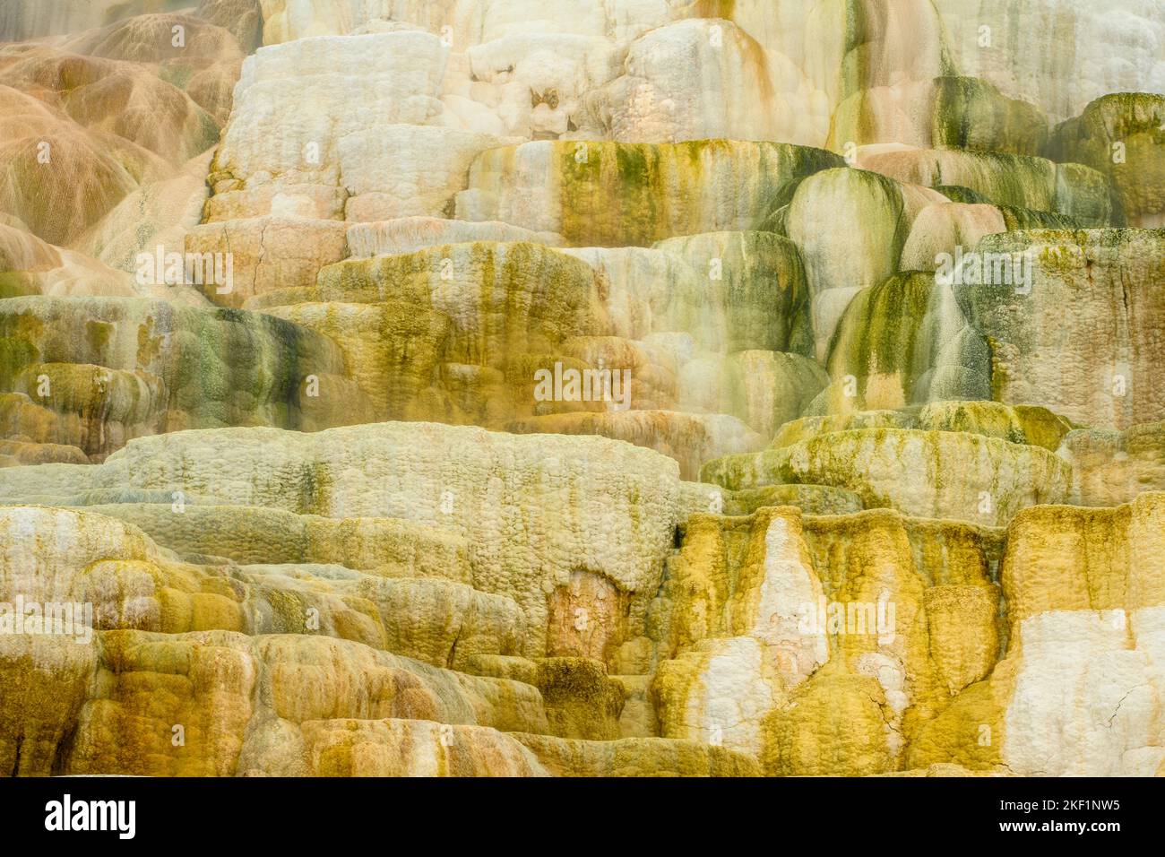 Palette Spring in winter, Yellowstone National Park- Mammoth Hot ...