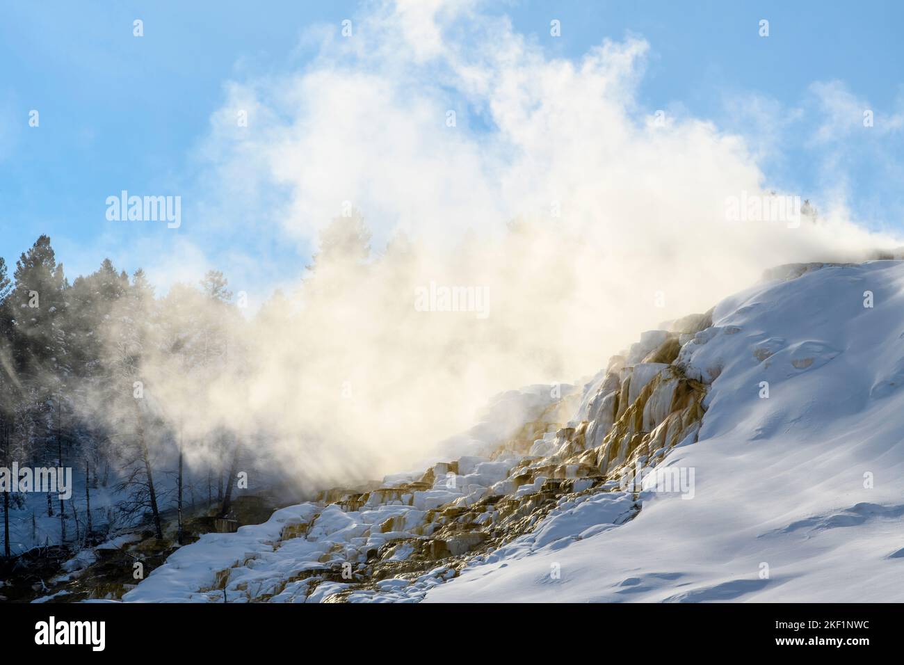 Canary Spring in winter, Mammoth Hot Springs, Yellowstone National Park ...