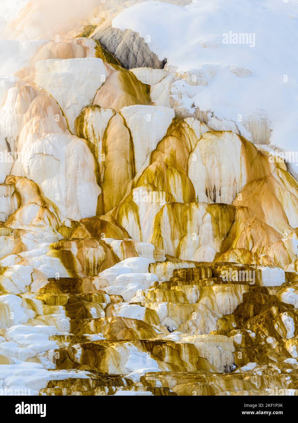 Canary Spring in winter, Mammoth Hot Springs, Yellowstone National Park ...