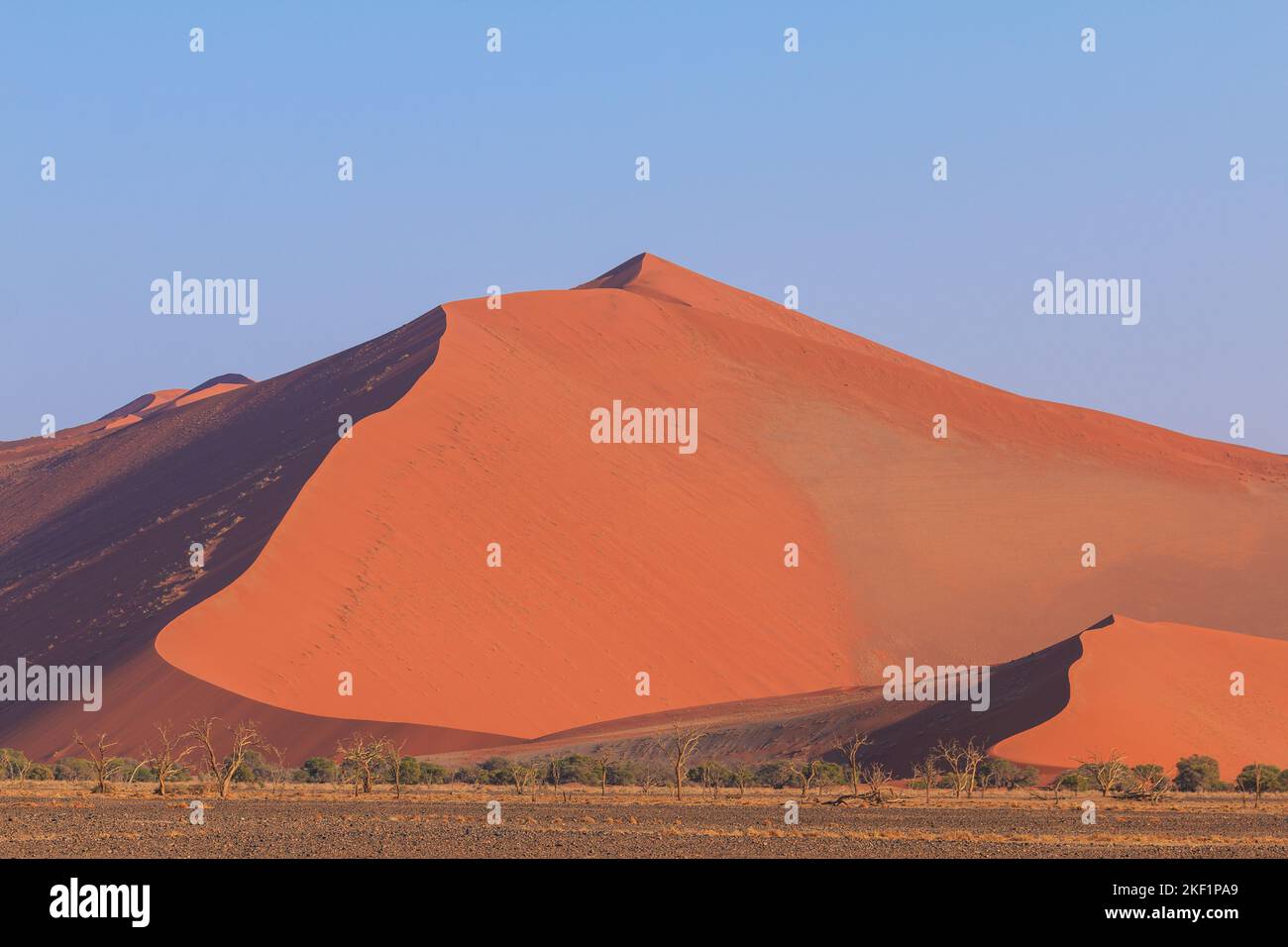 Dunes in the southern part of the Namib Desert in the Namib-Naukluft ...