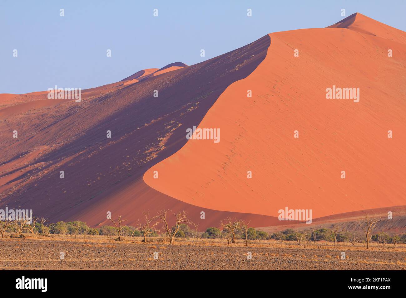 Dunes in the southern part of the Namib Desert in the Namib-Naukluft ...