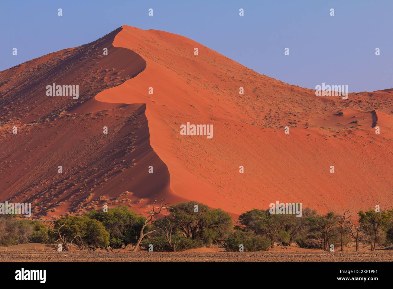 Dunes in the southern part of the Namib Desert in the Namib-Naukluft ...