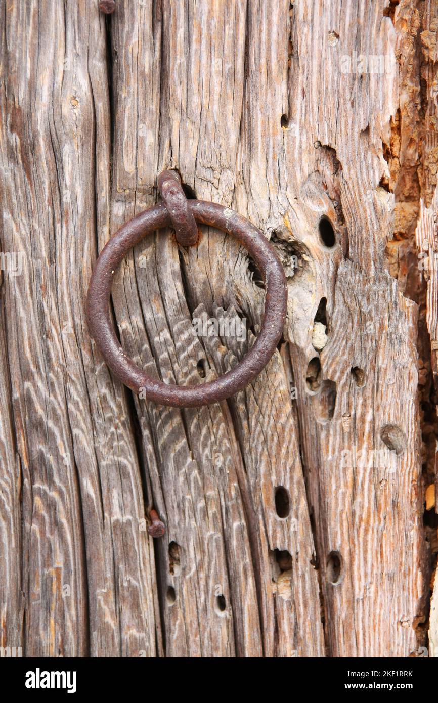 Old Door Ring on a Wood Door Stock Photo - Alamy