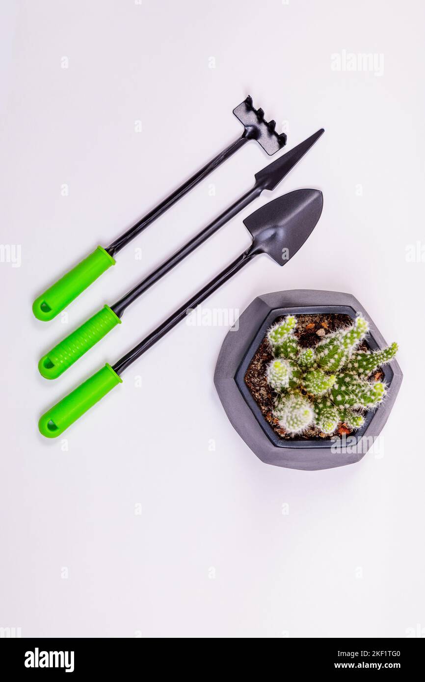 Gardening tools with cactus flower on white background Stock Photo - Alamy