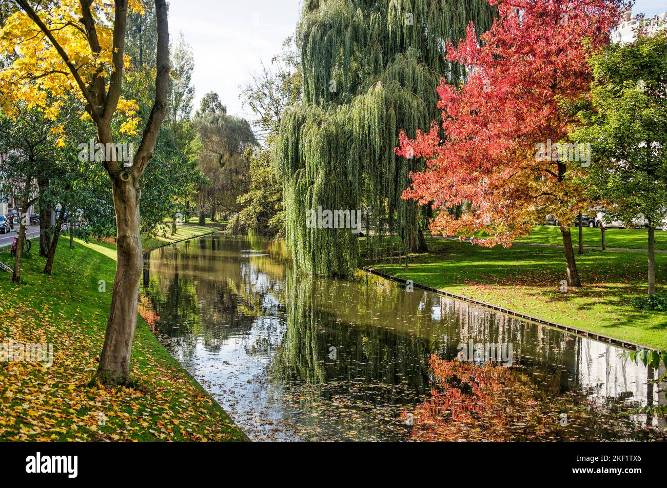Rotterdam, The Netherlands, October 21, 2022: colorful trees in autumn ...