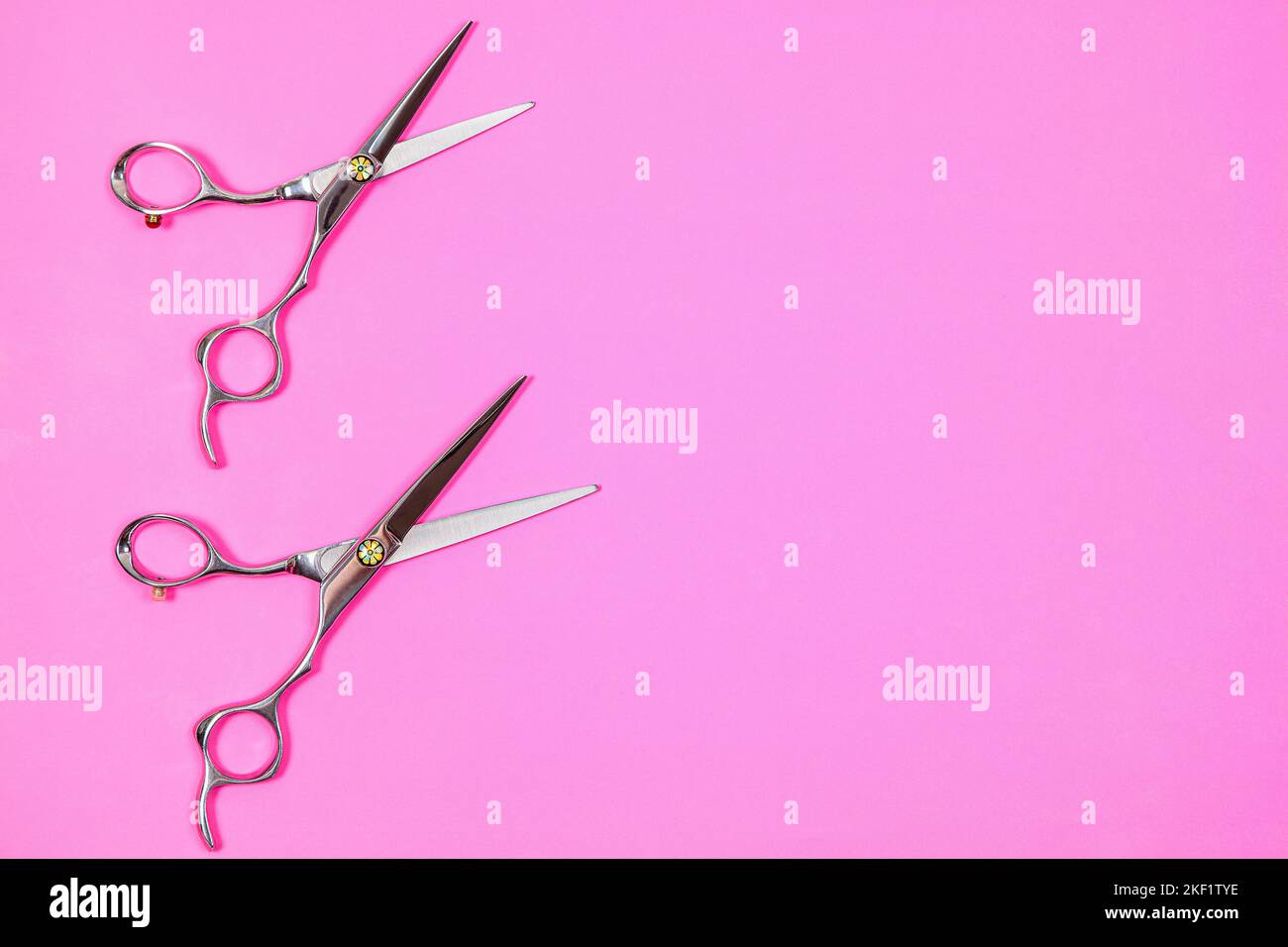 A set of hairdressing tools of two scissors on a pink background Stock ...