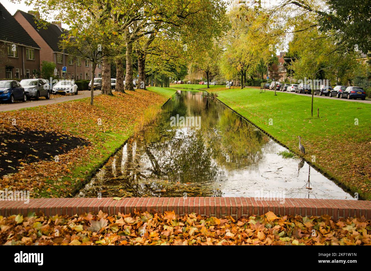 Rotterdam, The Netherlands, November 5, 2022: fallen leaves on a brick ...