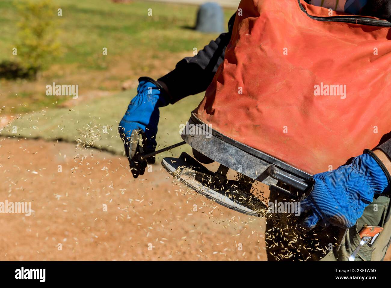 Landscaper is hired by gardener to use seeding device to sow lawn grass ...