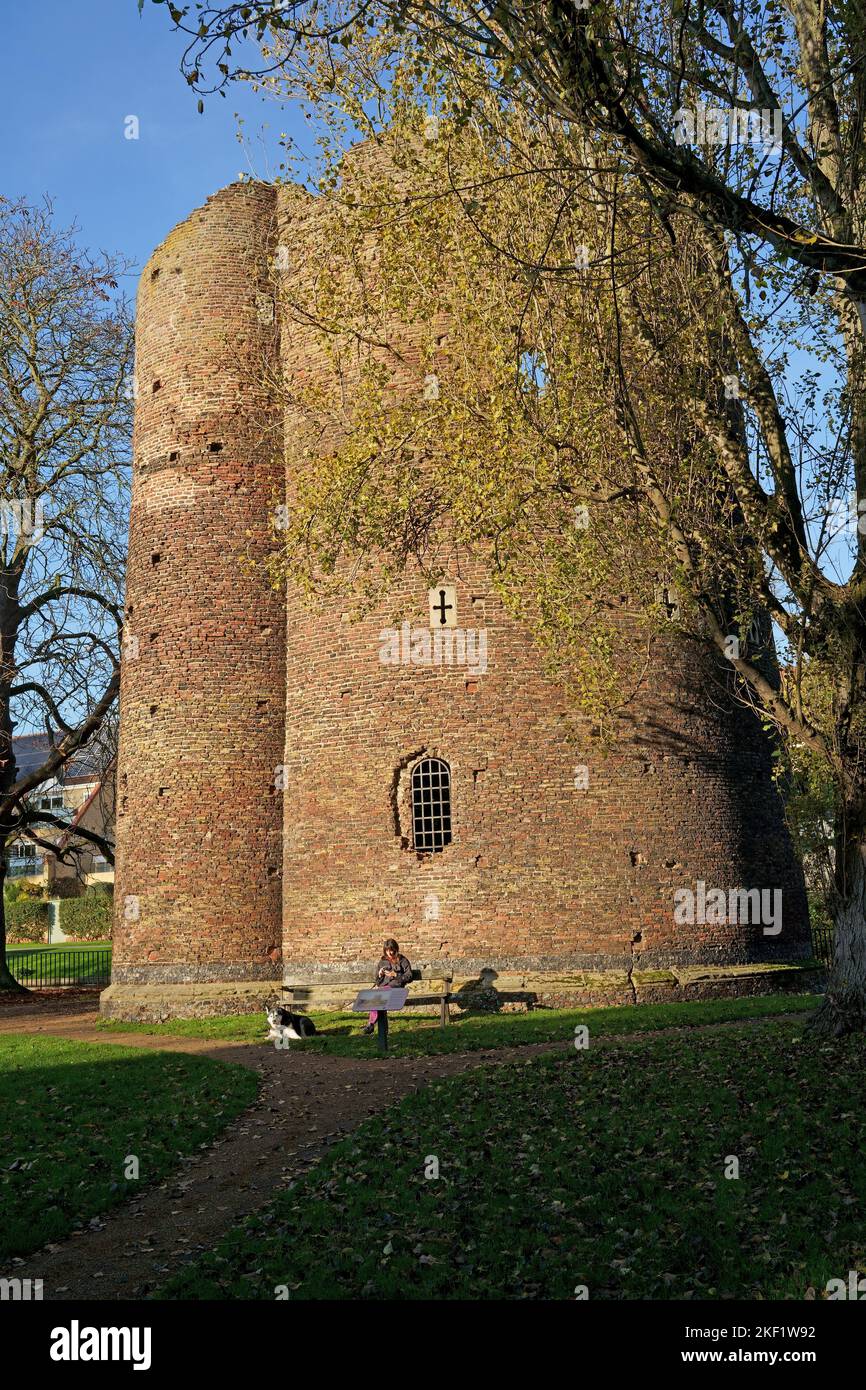 Young woman and her dog sitting outside Cow Tower, Norwich, Norfolk, UK ...