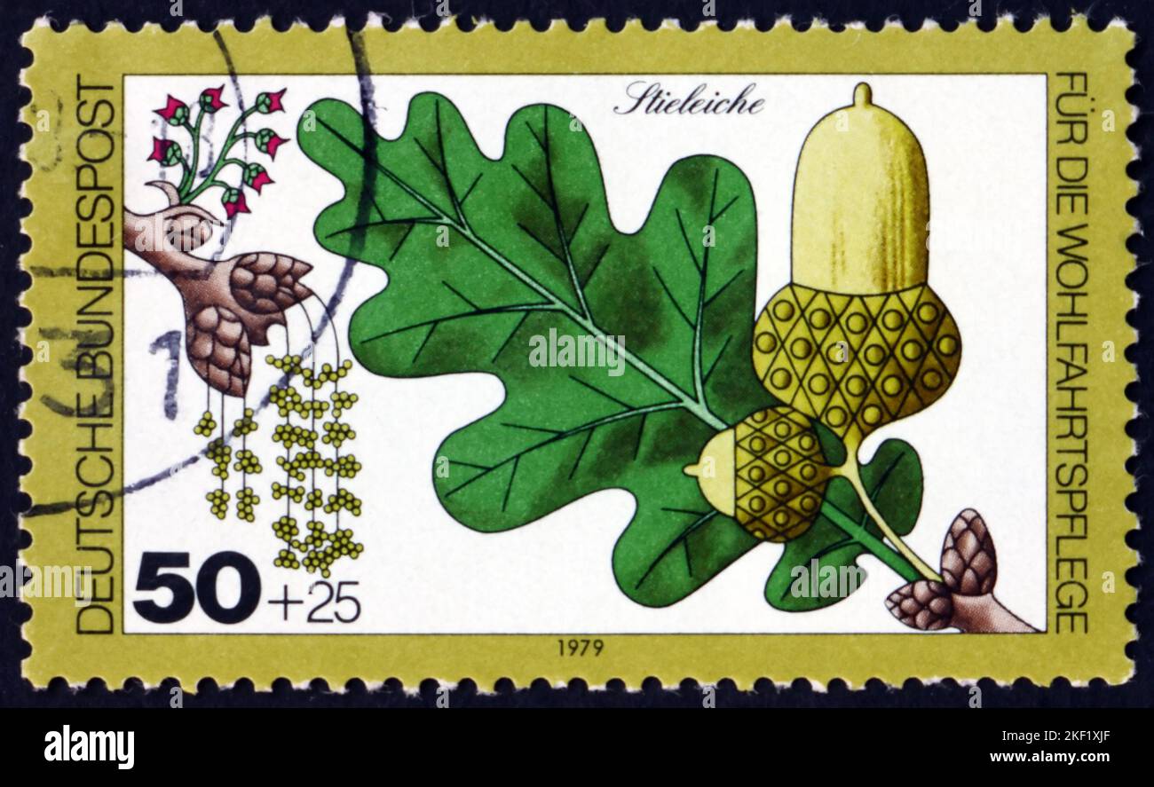 GERMANY - CIRCA 1979: a stamp printed in Germany shows English oak ...