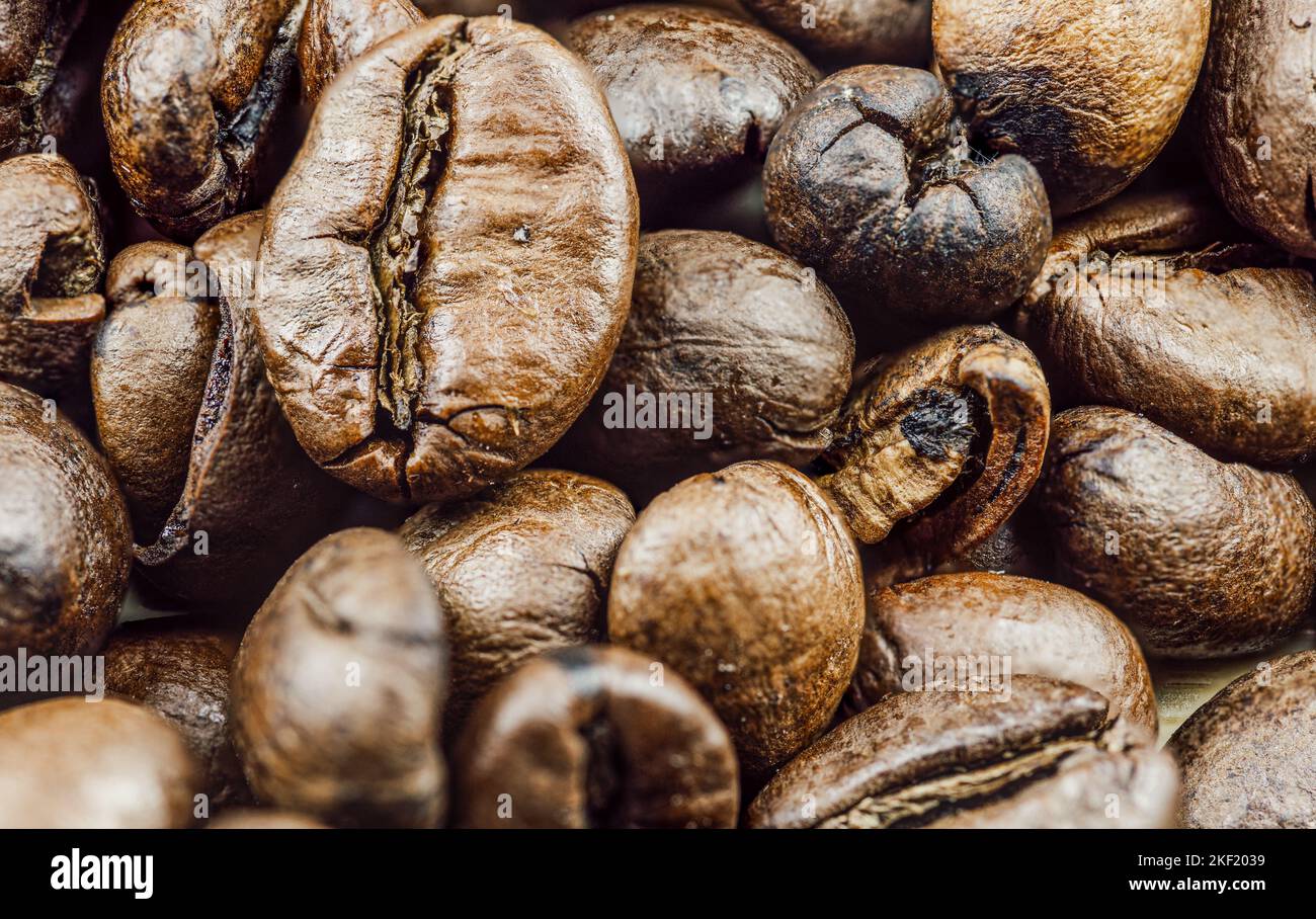 Robusta seeds hi-res stock photography and images - Alamy
