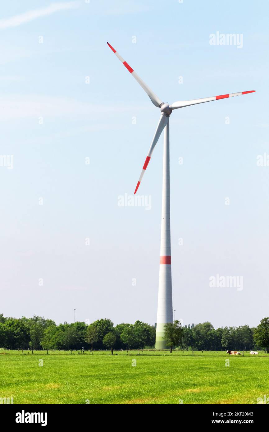 Portrait of a modern big windmill standing in between the meadows and ...