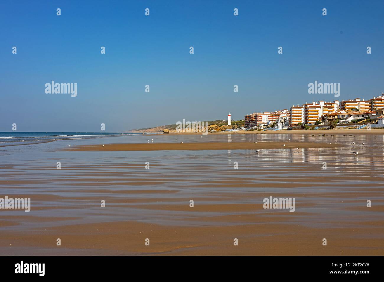 beautiful empty sand beach in Matalascanas Stock Photo - Alamy