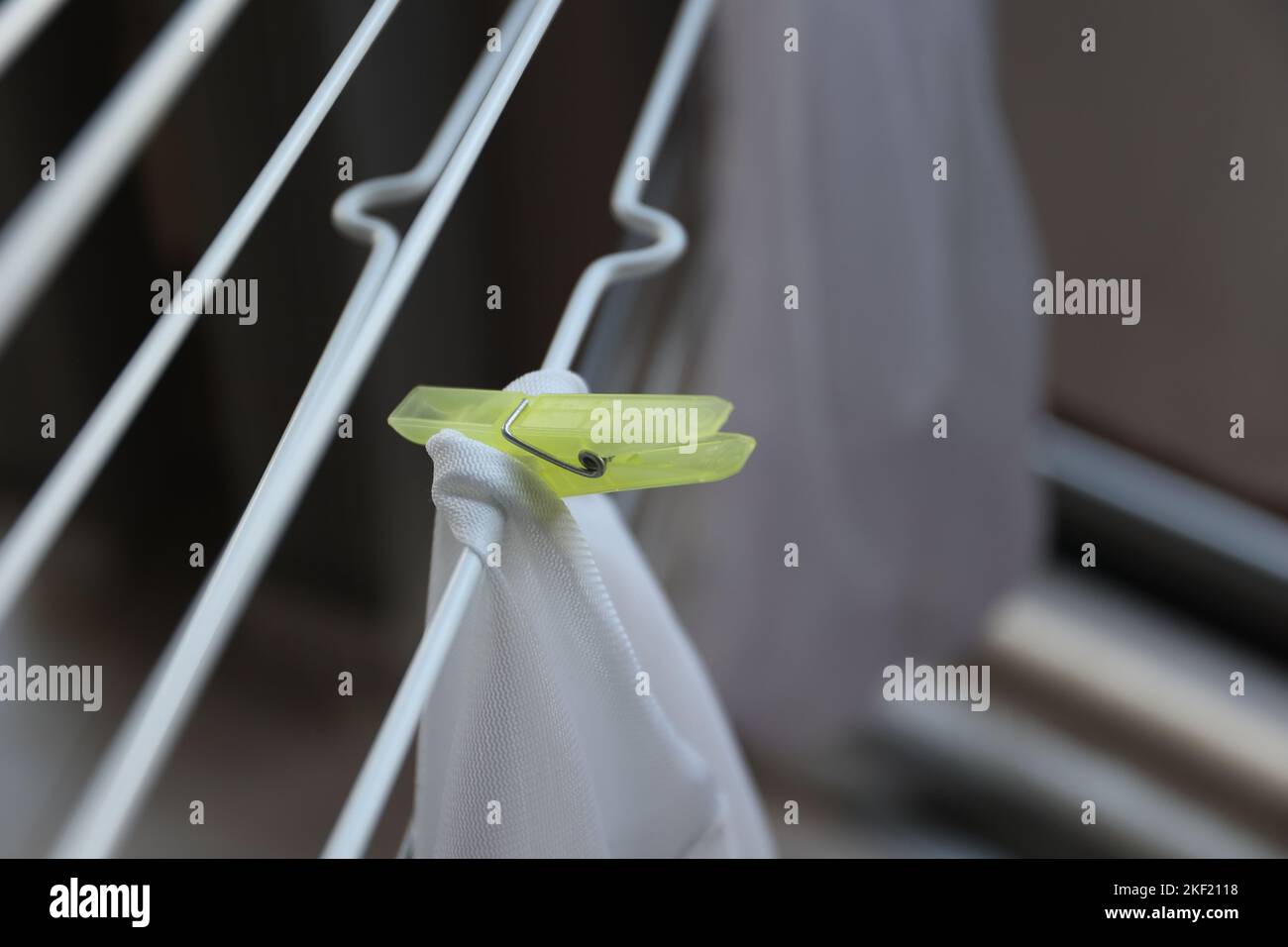 A portrait of a single yellow washingpin holding a piece wet piece of ...
